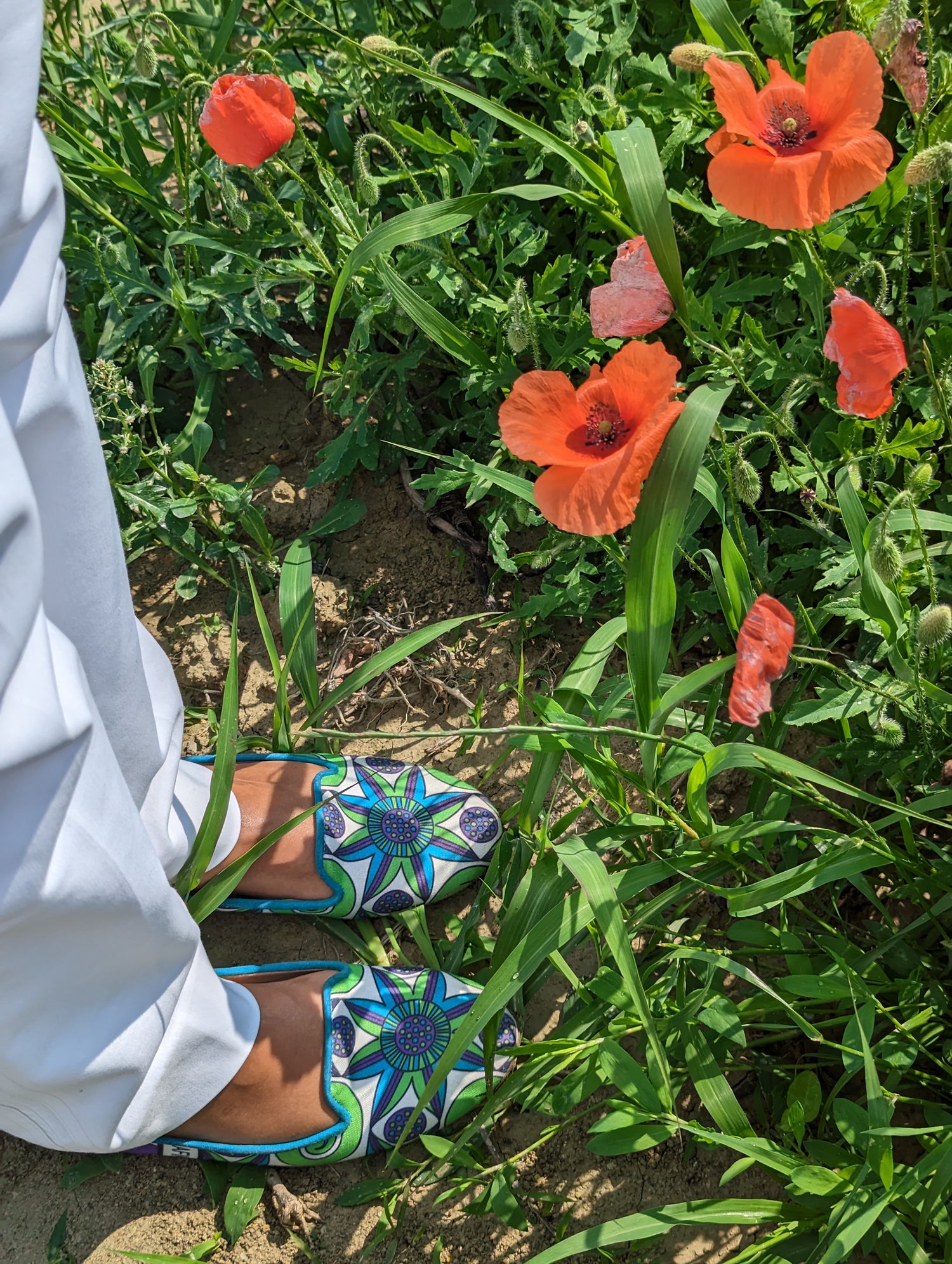 Poppy Seed Flowers and the Winery Regions of Italy – Bizushoes